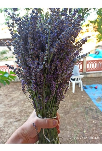 Biorganix Naturel Doğal Kurutulmuş Lavanta Demeti 40-50 cm 3 Adet 200-300 Dal