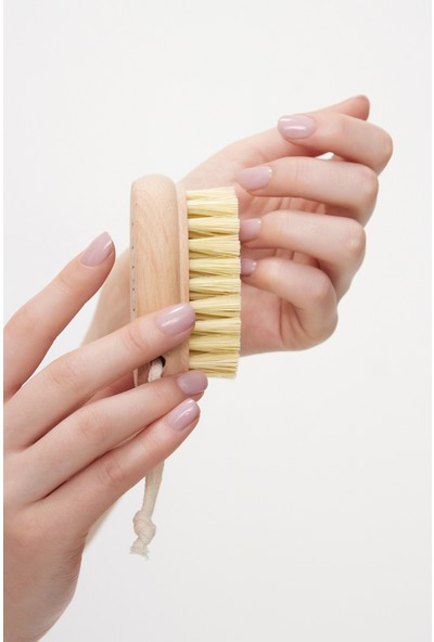 Byerley Tırnak Fırçası Tombik Kaktüs Otu