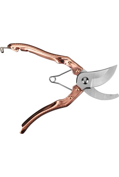 Beauty Life Paslanmaz Çelik Bahçe Makası (Yurt Dışından)