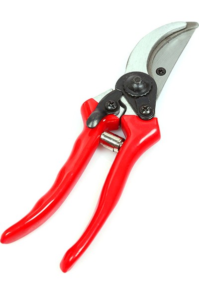 Beauty Life Budama Makası (Yurt Dışından)