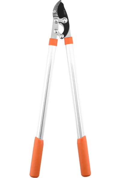 Beauty Life Dal Makasları (Yurt Dışından)