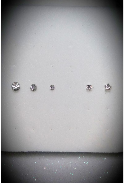 Begonia Accessories 925 Ayar Gümüş zirkon taşlı 5 adet Hızma