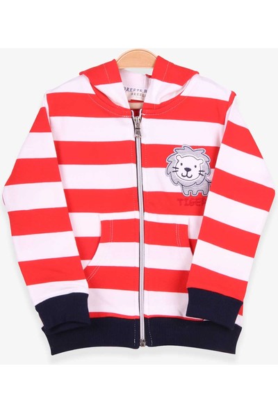 Breeze Erkek Bebek Hırka Çizgili Aslan Nakışlı Karışık Renk (9 Ay-3 Yaş)