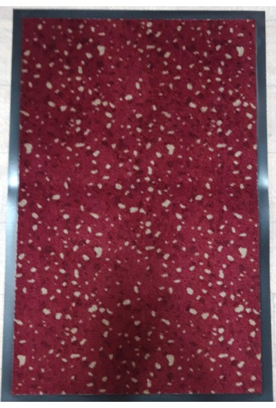 Desan Nem Alıcı Paspas