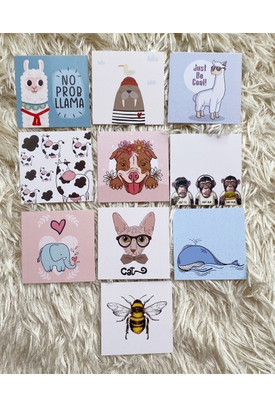 Paytak Moda Motto Hayvan Lama Köpek Balina Arı Karışık Tasarımlı 10'lu 7-7cm PYTKMTT0026