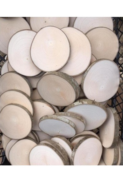 Taş Rüyası Dilim Kütük 10 Adet ( 8 - 12 cm Arası)