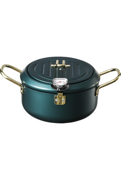 Dolity Sıcaklık Kontrollü Derin Kızartma Fritözü - Yeşil (Yurt Dışından)