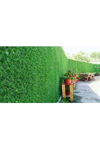 Garden World Çim Çit Örgü Telli Bahçe Çiti 100 cm x 5 mt