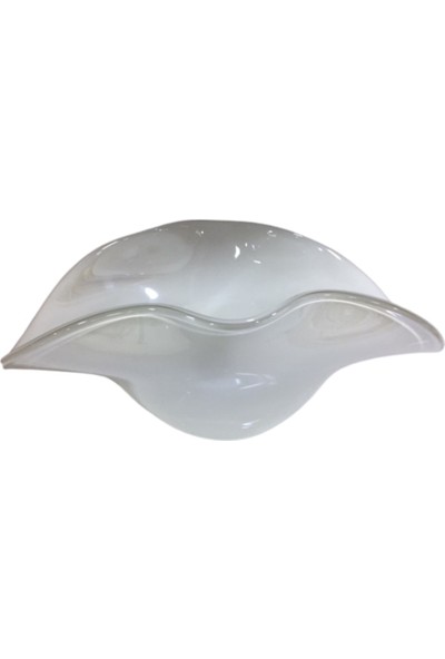 Beyaz Lale Dekoratif Meyvelik