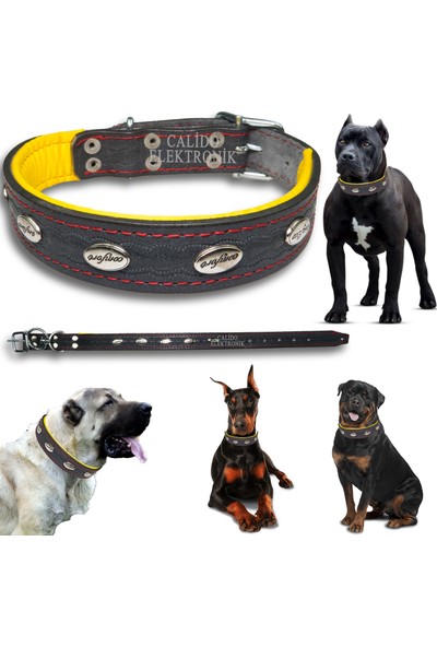 Mutlu Tavukçuluk Köpek Boyun Tasması Deri Tasma Kaniş Tazı Akbaş Kafkas Dogo Argentino Pekinez 55X3 Kangal Siyah