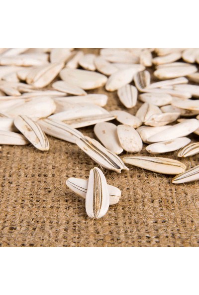 Tuzlu Beyaz Çekirdek 1000 gr Tuzlu Beyaz Çekirdek 1000 gr