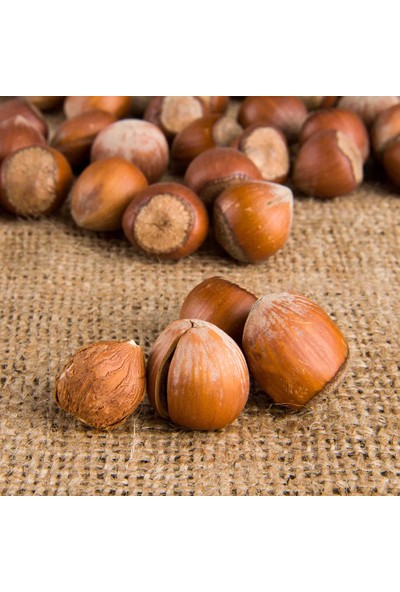 Kabuklu Fındık 250GR
