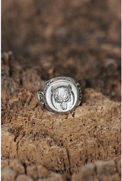 Fly Bazaar Kurt Börü Antik Gümüş Kaplama Ayarlamalı Erkek Yüzük - BF24689