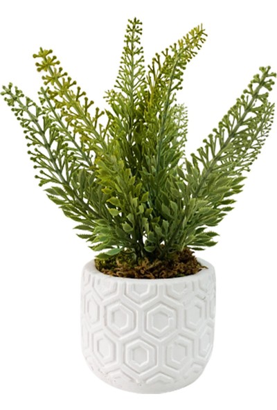 Hediye Vitrini Yapay Çiçek Otantik Beton Saksıda Yeşil Lavanta Çiçeği Masa Üzeri Dekoratif Çiçek 20 cm Hediye Vitrini Yapay Çiçek Otantik Beton Saksıda Yeşil Lavanta Çiçeği Masa Üzeri Dekoratif Çiçek 20 cm