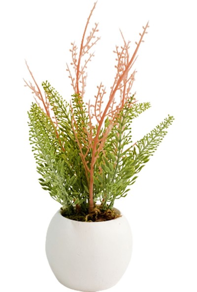 Hediye Vitrini Masa Çiçeği Oval Saksıda Yeşil Pudra ve Somon Dal Çiçeği 20 cm Hediye Vitrini Masa Çiçeği Oval Saksıda Yeşil Pudra ve Somon Dal Çiçeği 20 cm