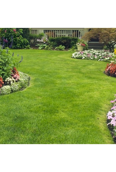 Çim Tohumu 3 Mix Grass Karışımı - 10 kg