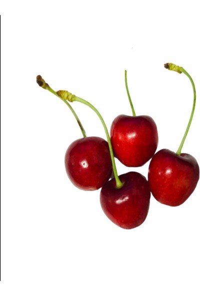 Sebze Meyve Dünyası Taze Kiraz 100 gr Sebze Meyve Dünyası Taze Kiraz 100 gr
