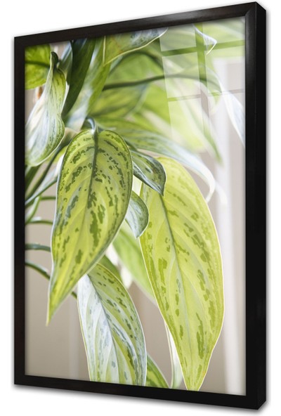 Tablosan Yaprak Çerçeveli Cam Tablo