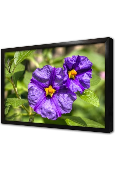 Tablosan Çiçek Çerçeveli Cam Tablo