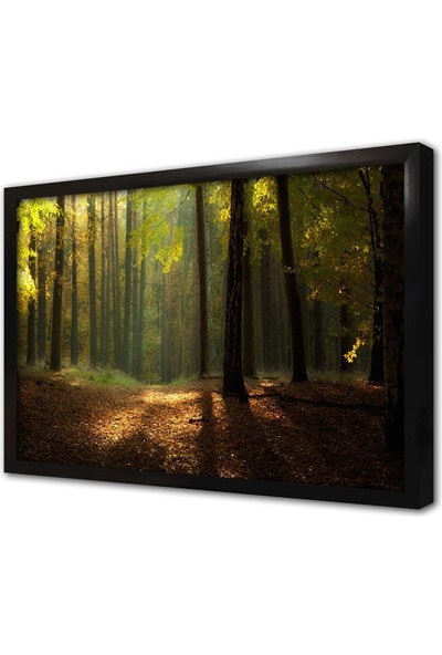 Tablosan Orman Çerçeveli Cam Tablo