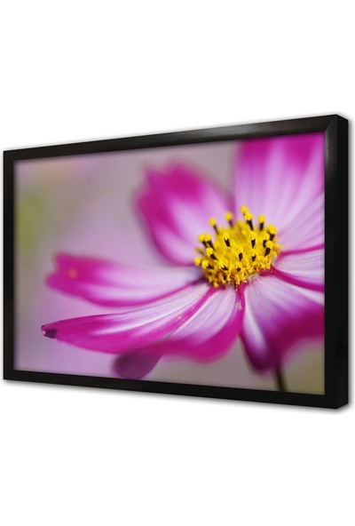 Tablosan Lila Rengi Çiçek Çerçeveli Cam Tablo