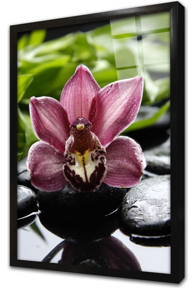 Tablosan Spa Taşları ve Orkide Çerçeveli Cam Tablo