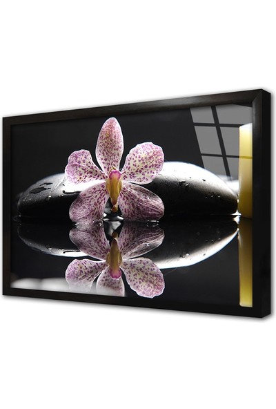 Tablosan Spa Taşları ve Orkide Çerçeveli Cam Tablo