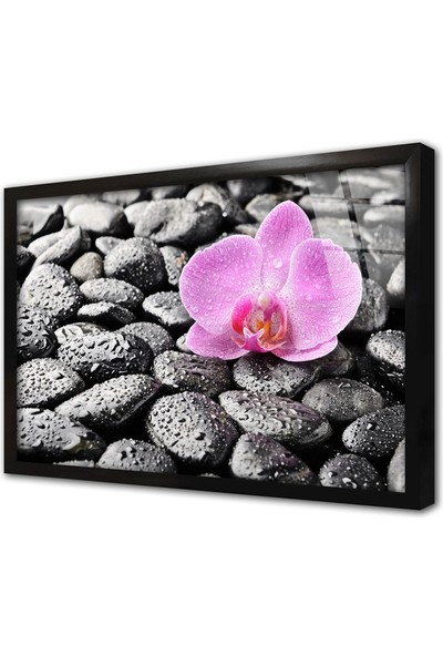 Tablosan Spa Taşları ve Orkide Çerçeveli Cam Tablo
