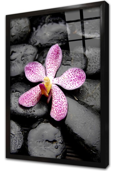 Tablosan Spa Taşları ve Orkide Çerçeveli Cam Tablo