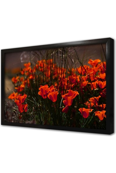 Tablosan Çiçekler Çerçeveli Cam Tablo