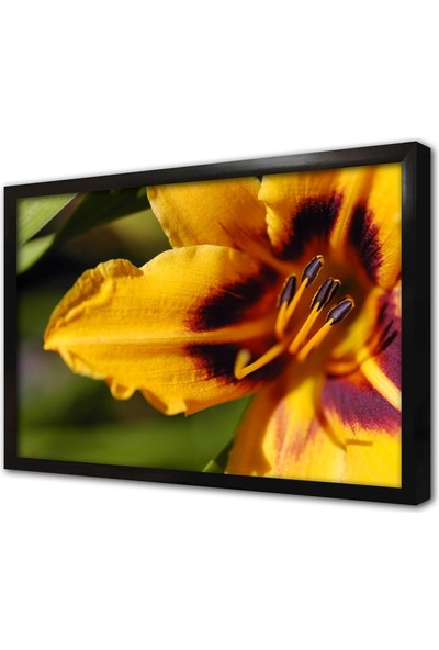 Tablosan Makro Çekim Çiçek Çerçeveli Cam Tablo