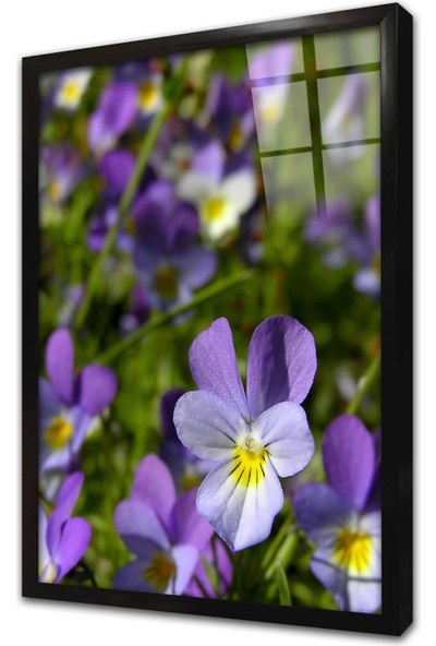 Tablosan Mor Çiçekler Çerçeveli Cam Tablo
