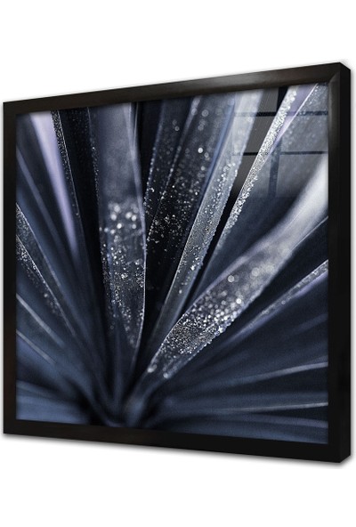 Tablosan Makro Çekim Yaprak Çerçeveli Cam Tablo