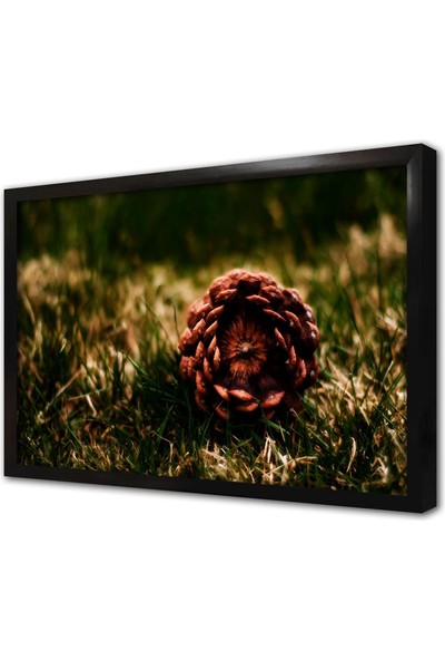 Tablosan Çiçek Çerçeveli Cam Tablo