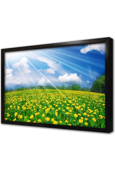 Tablosan Yemyeşil Ayçiçek Tarlası Çerçeveli Cam Tablo