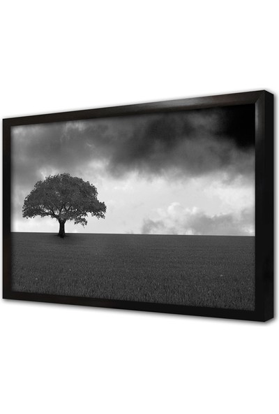 Tablosan Siyah Beyaz Tek Ağaç Çerçeveli Cam Tablo