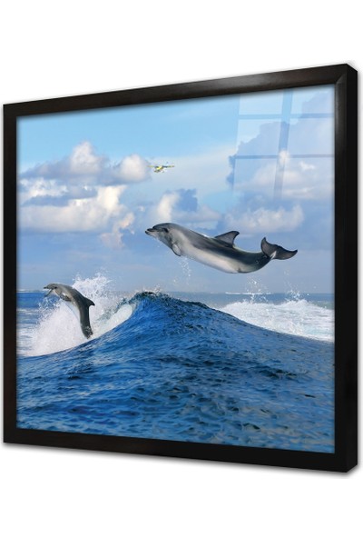 Tablosan Yunus Çerçeveli Cam Tablo