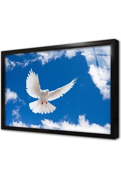 Tablosan Beyaz Güvercinler Çerçeveli Cam Tablo