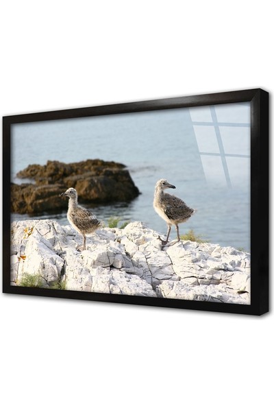 Tablosan Martı Çerçeveli Cam Tablo