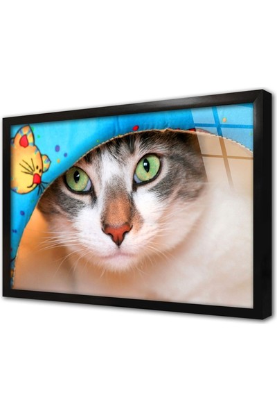 Tablosan Kedi Çerçeveli Cam Tablo Tablosan Kedi Çerçeveli Cam Tablo