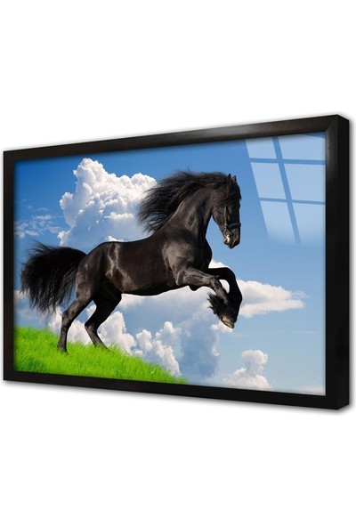 Tablosan Şaha Kalkmış At Çerçeveli Cam Tablo