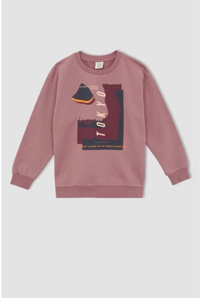 DeFacto Erkek Çocuk Regular Fit Bisiklet Yaka Baskılı Sweatshirt W7779A622SP