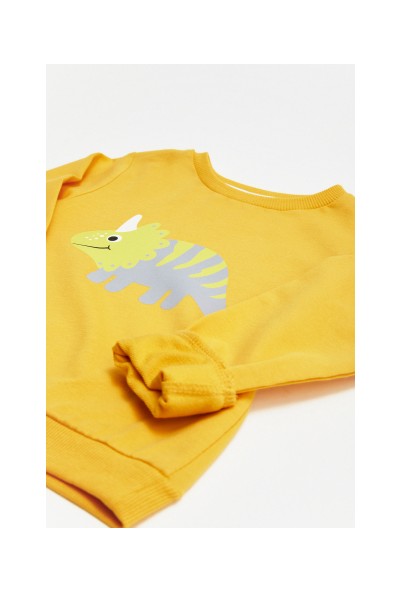 Soobe Erkek Çocuk Baskılı Sweatshirt