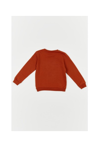 Soobe Erkek Çocuk Baskılı Sweatshirt