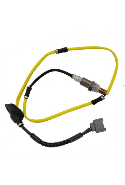 Unimotor 36532-RAC-U03 Honda Accord 2.0l 2003-2007 FST-HO-1218 Için Araba Oksijen Sensörü (Yurt Dışından) Unimotor 36532-RAC-U03 Honda Accord 2.0l 2003-2007 FST-HO-1218 Için Araba Oksijen Sensörü (Yurt Dışından)