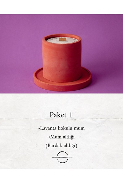 The Goatz Candles Hanımeli Kokulu Dekoratif Beton Saksılı Soya Mumu