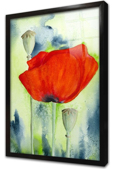 Tablosan Gelincik Çerçeveli Cam Tablo