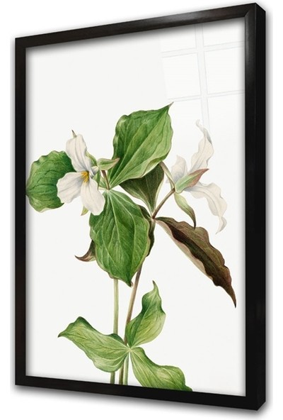 Tablosan Yeşil Beyaz Çiçek Çerçeveli Cam Tablo