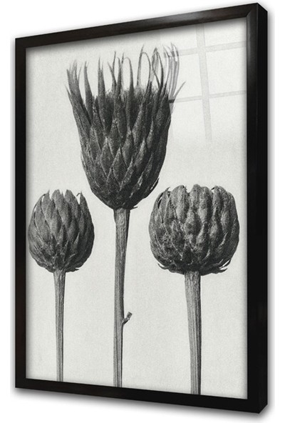 Tablosan Siyah Beyaz Üçlü Çiçek Çerçeveli Cam Tablo