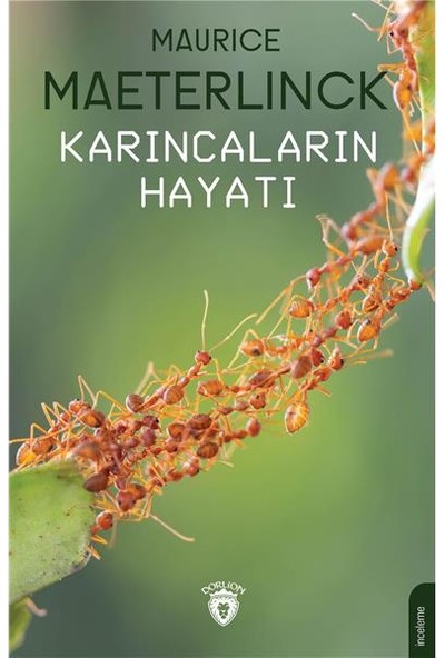 Karıncaların Hayatı - Maurice Maeterlinck